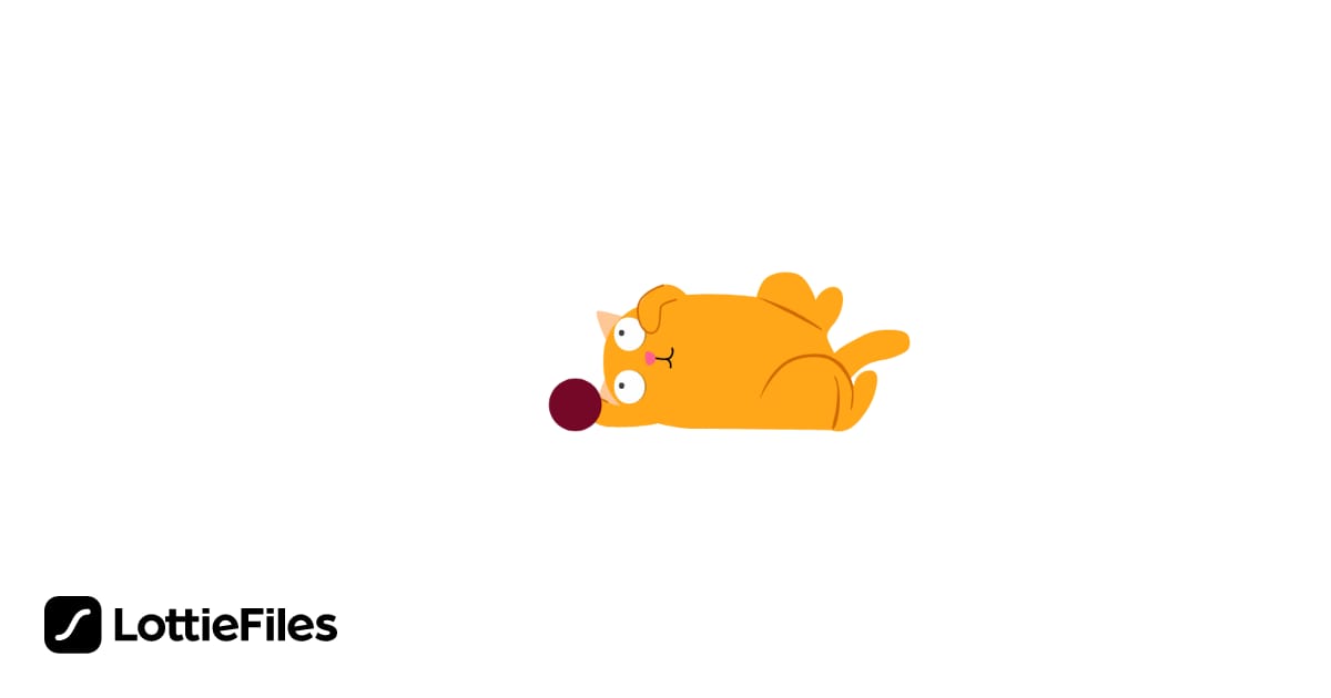 Free Cat playing animation Animation by Abdul Latif | LottieFiles