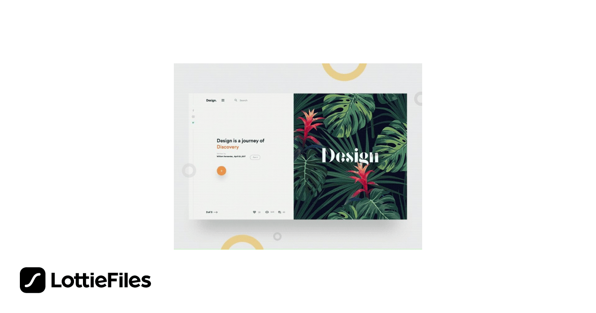 Free Website Entry Transition Animation by Kushal Chauhan | LottieFiles