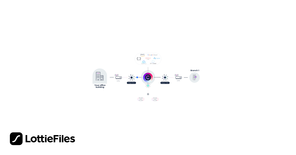 Console Connect Edge Port by Jose Bekrou - LottieFiles