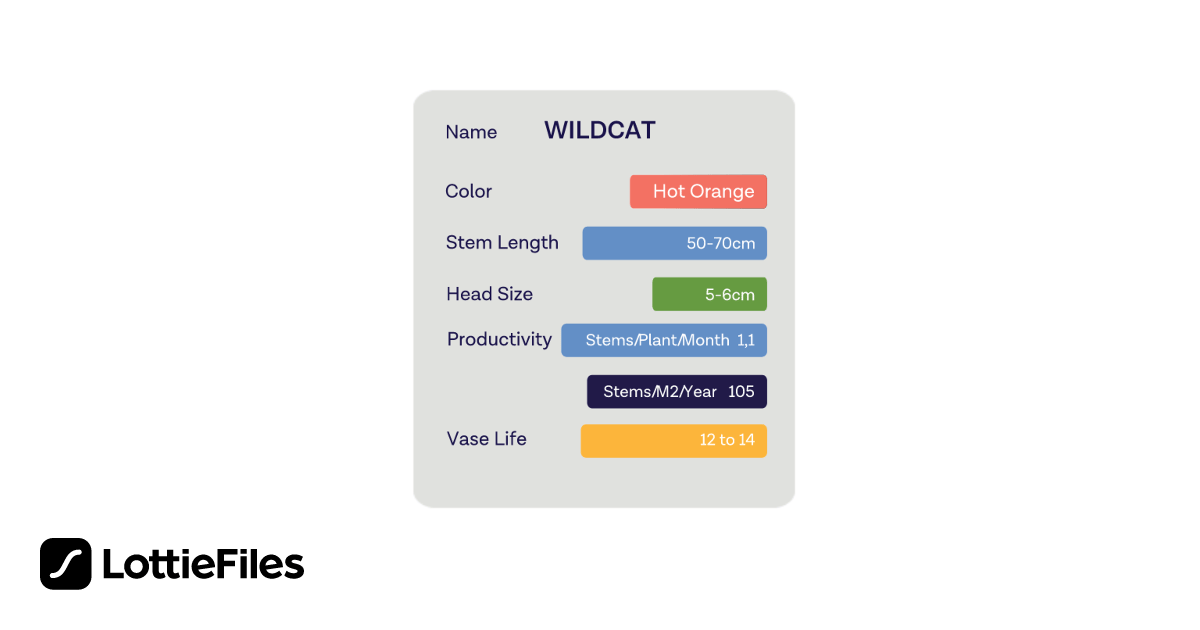 Free Wildcat febrero2023 Animation by Bryan Mediavilla | LottieFiles