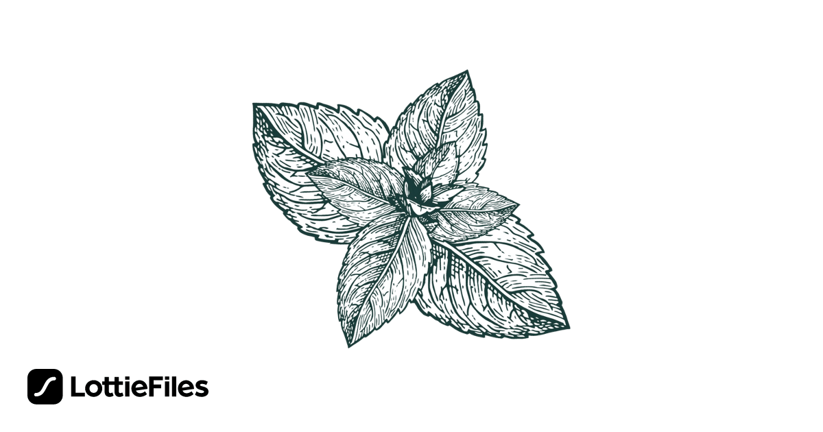 Free Minty Loader Animation by Brian Karungani | LottieFiles