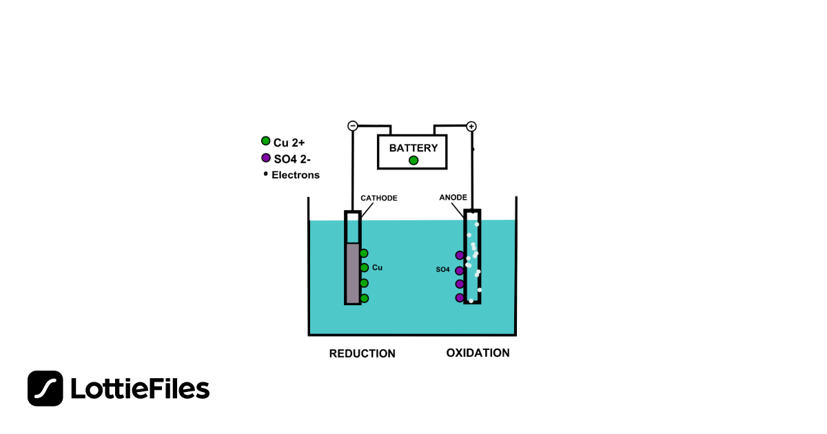 Free Electrolysis Explanation Animation by Joana Barreira | LottieFiles